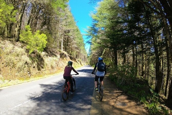 Madeira Island Guided Mountain Biking Adventure - What’s Included & What to Expect