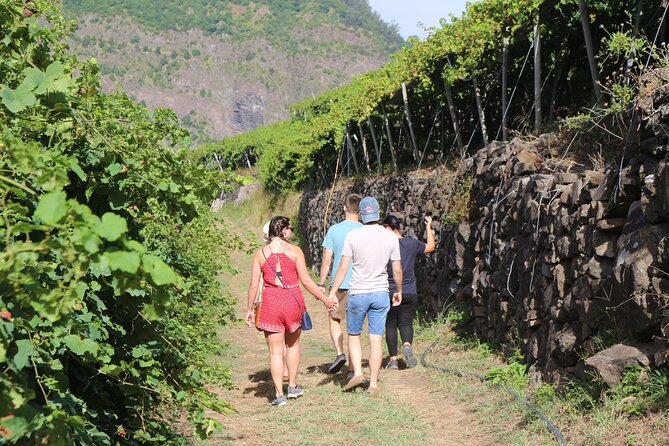 Madeira Island Private Wine Full-day Tour in all terrain vehicle - Transportation and Comfort