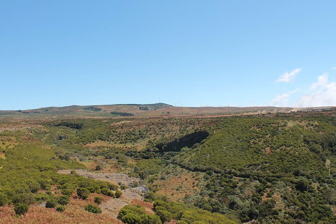Madeira Lakes - Levada do Alecrim - Why This Tour Offers Good Value