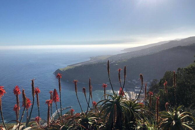 Madeira Safari - East of the island - FAQ: Practical Questions about the Madeira Safari – East of the Island