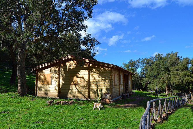 Madonie wild adventure - Practical Details & Logistics
