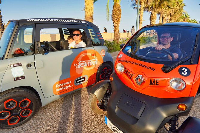 Málaga VIP Tour by Electric Car  Private 5-Hour Experience - Who Will Appreciate This Experience?