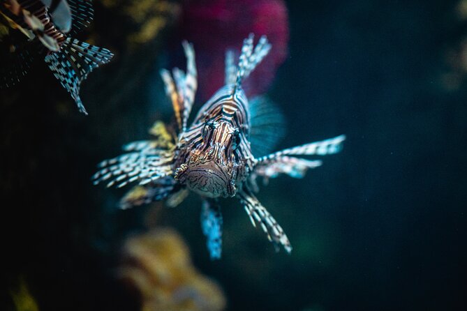 Malta National Aquarium Entrance Ticket - FAQs About Malta National Aquarium
