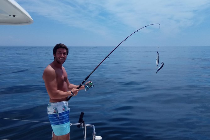 Marbella 3-hour Catamaran Group Excursion with Dolphin Watching - The Review Summary