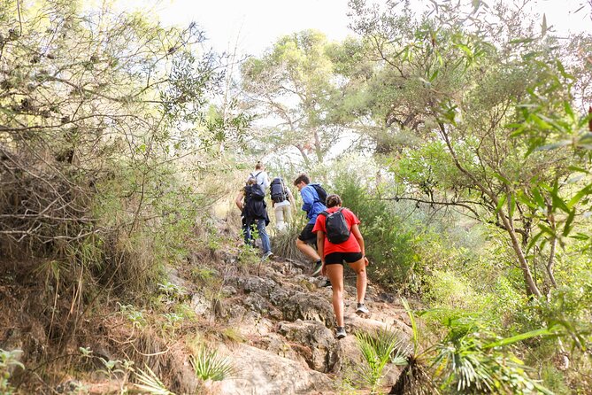 Marbella Guided Hiking and Foraging Adventure - FAQ