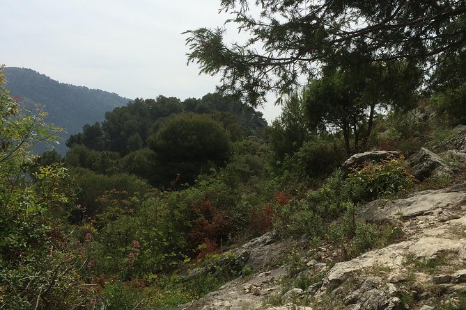 MARSEILLE Shore Excursion : Taste of Provence Aix and Cassis - Who Should Consider This Tour?