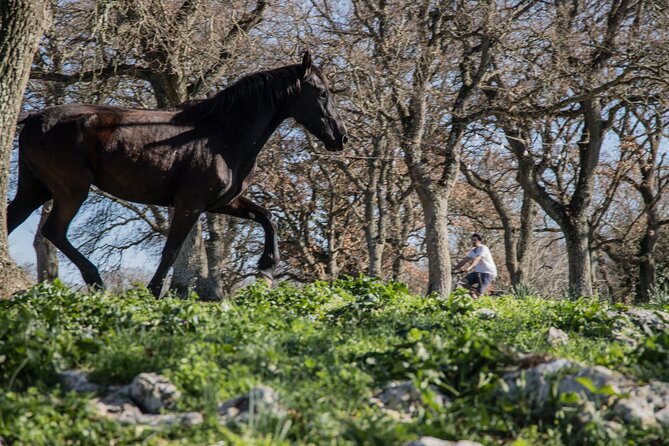 Martina Franca e-Bike tour . Visit a breeding and a dairy farm - Practical Aspects: Pricing, Duration, and Booking