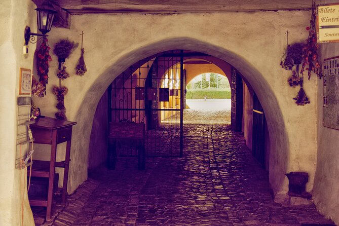 Medieval Transylvania Full-Day Private Tour from Brasov - The Experience in Summary
