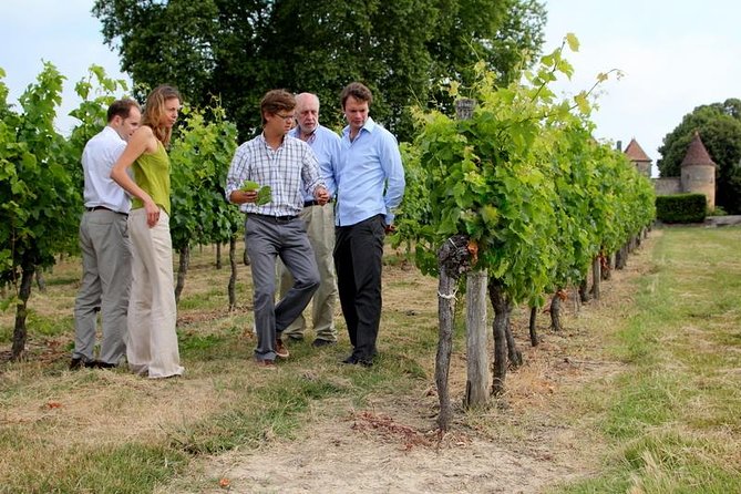 Medoc or Saint Emilion Wine Tasting and Chateau from Bordeaux - What Past Travelers Say
