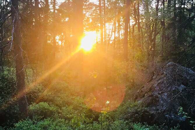 Midnight Sun and Campfire - National Park evening hike Stockholm - Additional Practical Details