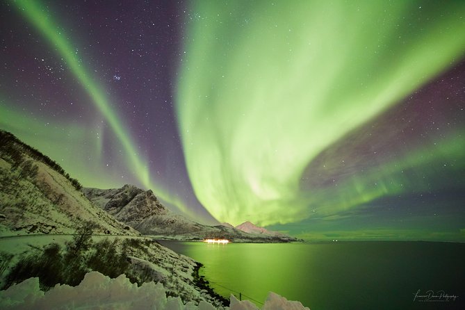Minivan Northern Lights excursion (8 guests per minivan) - Guides and Group Size: Why It Matters