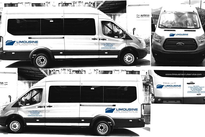 Minivan suitable for transporting disabled people with a wheelchair - Who Should Consider This Tour?