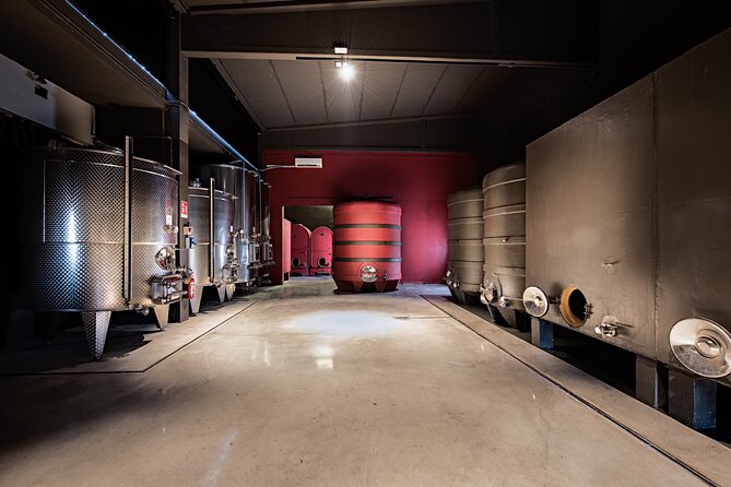 Monferrato (Asti): Wine Tour with light lunch picnic in the vineyards - Practical Details and Considerations