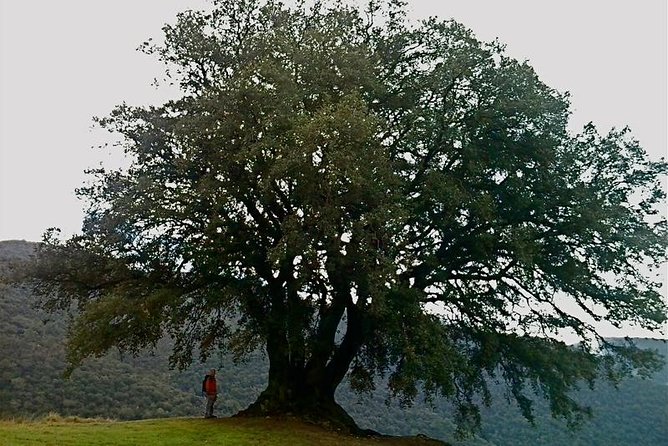 Montseny Guided Hiking Tour from Barcelona with Organic-friendly Lunch - What to Bring and Considerations