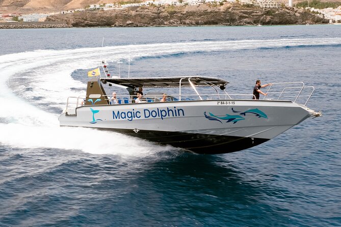 Morro Jable: 2 Hours Magic Dolphin & Whale watching with Drinks & Swim Stop. - The Sum Up