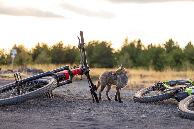 Mount Etna: All around on E-bike - Who Will Love This Experience?