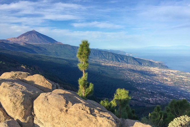 Mount Teide and Tenerife North with Food & Wine Tasting Private Tour - Practicalities and Booking