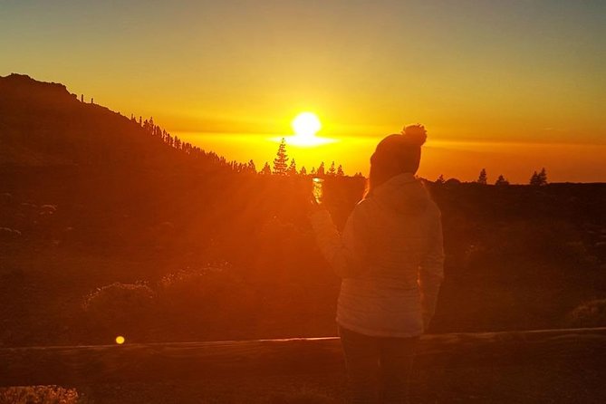 Mount Teide Stargazing with Dinner - The Logistics and Comfort