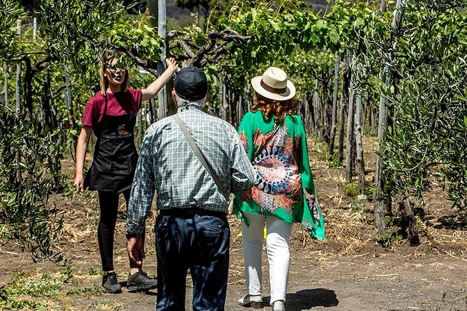 Mount Vesuvius & Wine Tasting with Lunch Private Tour from Amalfi Coast - The Lunch: Savoring Local Flavors on the Terrace