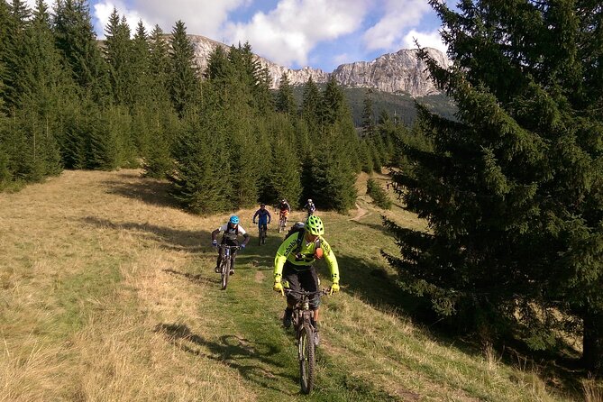 Mountain Bike Day Tour around Brasov - Pricing and Value