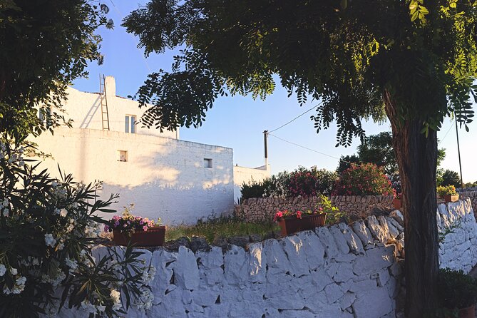 Mozzarella Experience - Cheese Tour and tastings to Masseria Fragnite - Tasting the Fruits of the Farm