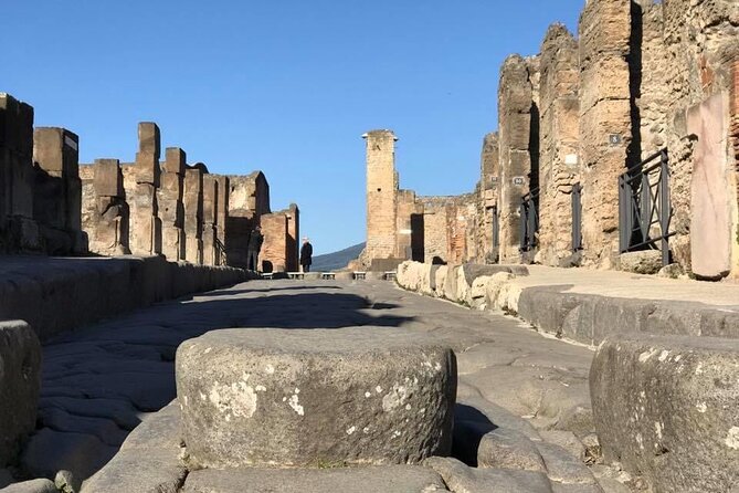 Naples port tour Sorrento and pompeii and overview of positano - In The Sum Up: Who Is This Tour Best For?
