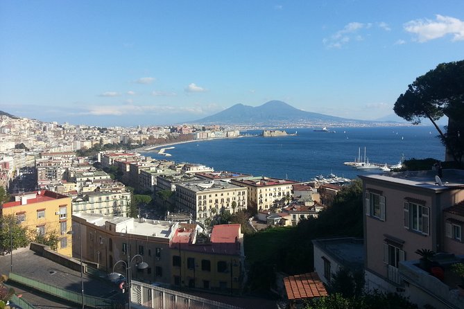 Naples Shore Excursion: Naples City and Pompeii Half Day Sightseeing Tour - The Sum Up