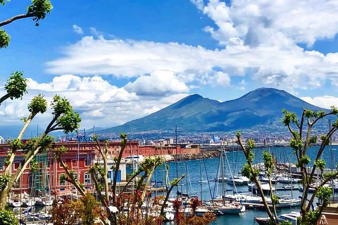 Naples to Praiano transfer via 2 hours in Pompeii (or vice versa) - Pricing and Value