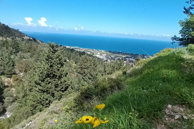 Nature Walking tour in the Mediterranean Cyprus-6days - Authentic Experiences and Genuine Reviews