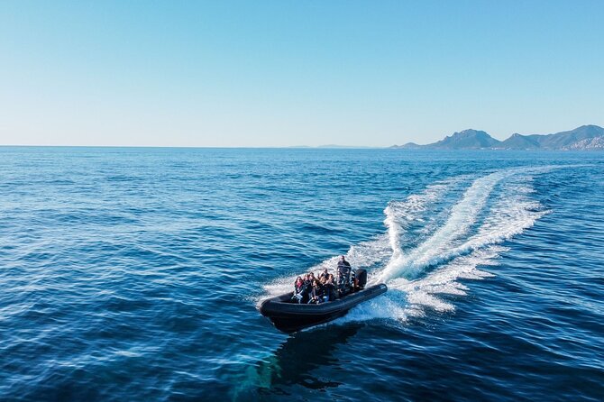 Nautical excursion - Cannes-St Tropez - The Value Factor