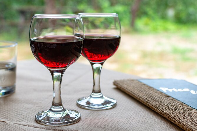 Nemea Wine Tasting & Nafplio Full-Day Private Tour | Wine & Charm - Returning to Athens