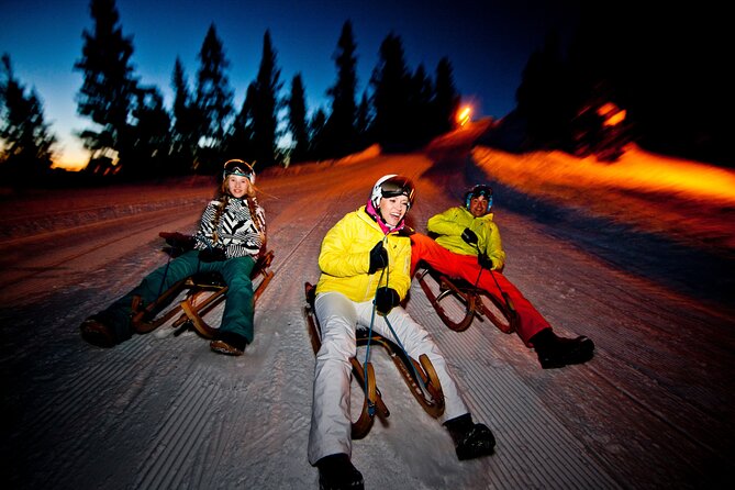 Night Sledding from Interlaken - The Practical Details: Transport, Timing, and Group Size