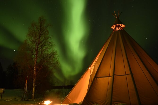 Night Snowmobile Safari, Rovaniemi - The Value of This Tour