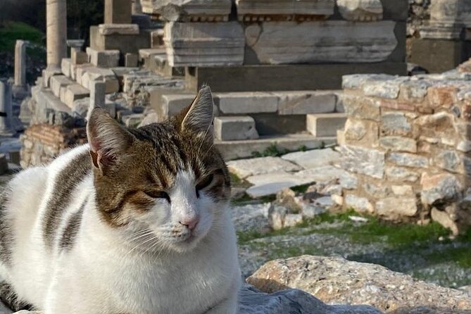 NO HIDDEN FEES : Ephesus, Virgin Mary's House, St. John Basilica - Who Would Love This Tour?