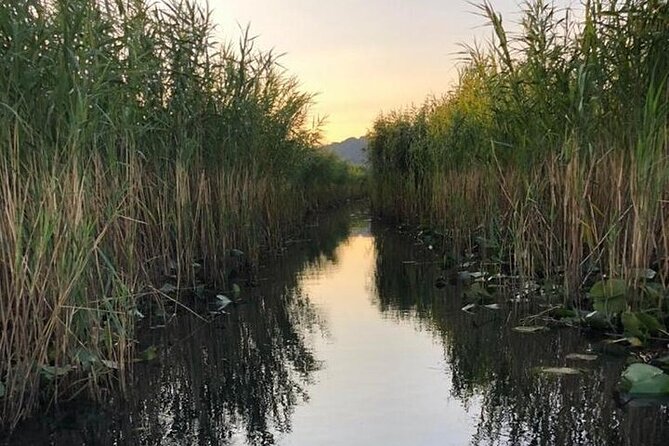Noah's Ark Skadar Lake Journey - Final Thoughts