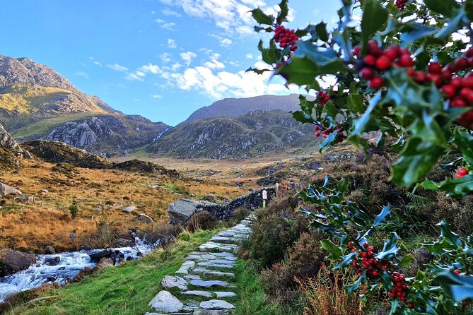 North Wales and Caernarfon Castle day-tour from Liverpool - Who Should Consider This Tour?