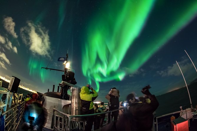 Northern Lights by Boat with a Backup Plan from Reykjavik - Who Will Enjoy This Tour?
