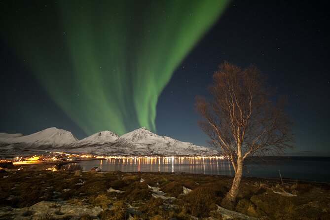Northern Lights Chase by Bus in Tromso - Frequently Asked Questions