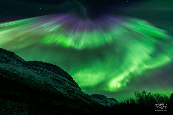 Northern Lights Guided Bus Tour with Snacks Hot drinks - The Sum Up: Who Should Consider This Tour?