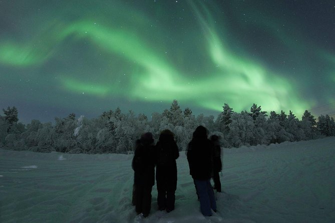 Northern Lights Tour with BBQ and drinks - Cost and Value