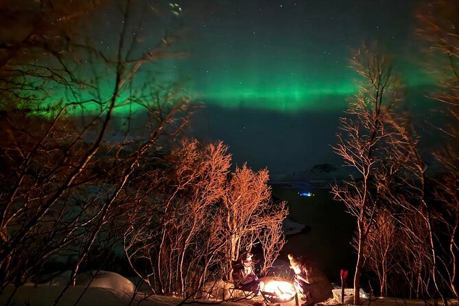 Northern Lights Tour with Hot Food and Drinks in Tromso - What Could Be Better?