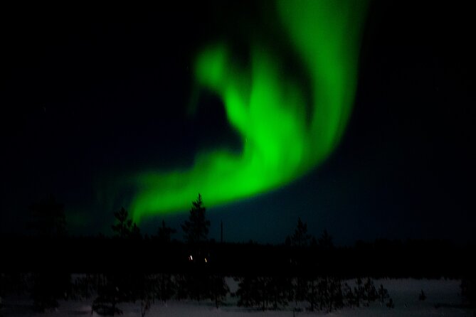 Northern Lights Tour With Skis Or Snowshoes in Pyhä - Pricing and Value