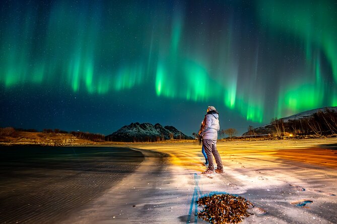 Northern Lights Tours Bodo Norway - The Guides Make All the Difference