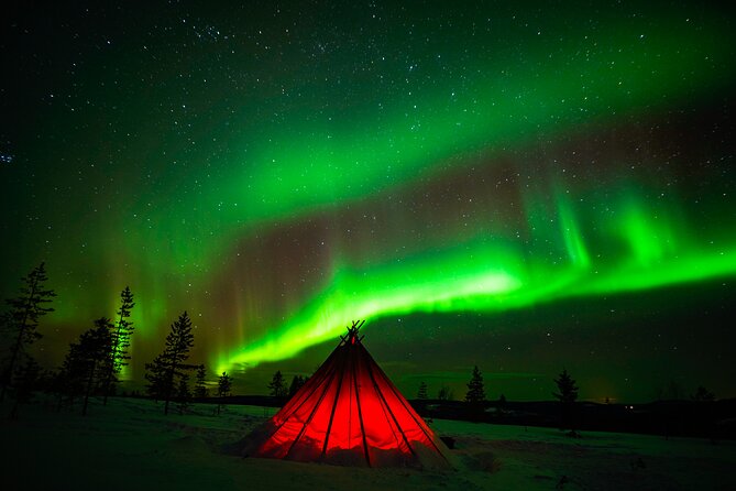 Northern Lights Wilderness Small-Group Tour from Rovaniemi - Who Will Love This Tour?