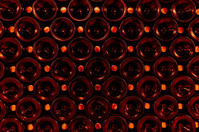 Not Your Average Champagne Tour - Day Trip From Paris (Private) - Authentic Experiences and Genuine Insights