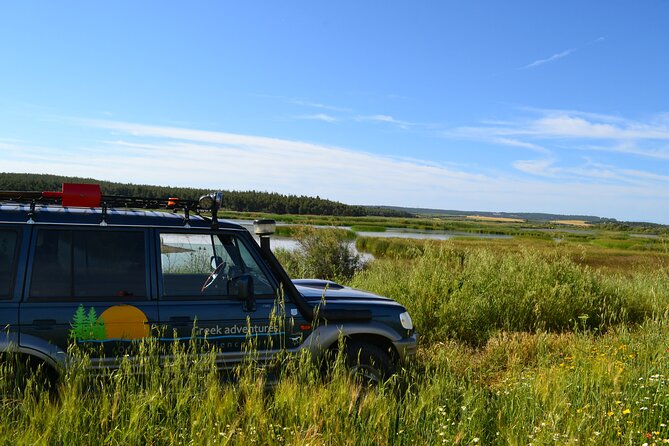 Off Road Safari Experience in Sithonia Halkidiki - What Are the Challenges or Considerations?