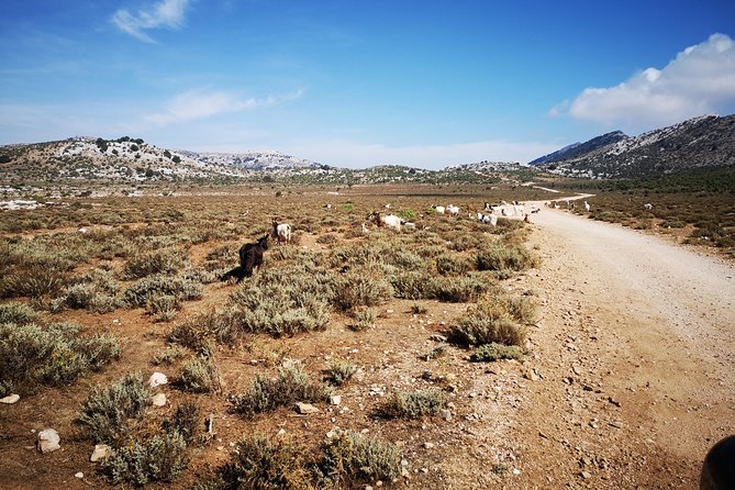 Off-road tour in the Supramonte and visit to Pischina Gurthàddala - FAQ