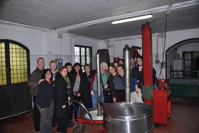 Olive Mill and Winery Experience at Castiglione in Teverina - The Sum Up