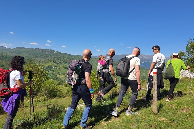 One day cheese making and tasting experience - The Sum Up: Why This Tour Is a Hidden Gem