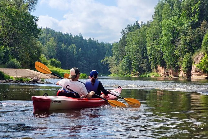 One-Day Kayaking Trip in Gauja River Valley - What Travelers Love About This Experience